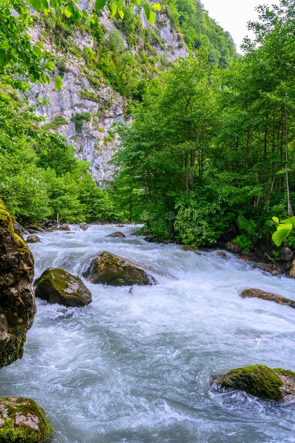 Mountain Alpine Stormy River in the Tropical Forest. Stock Photo ...