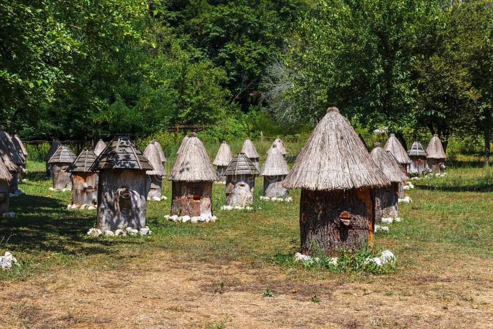 Mountain Apiary in Abkhazia Stock Photo - Image of landscape, hill ...
