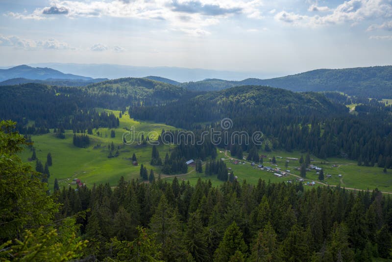 Mountain Apuseni Zona Padis Romania Stock Image - Image of mist, leaf ...