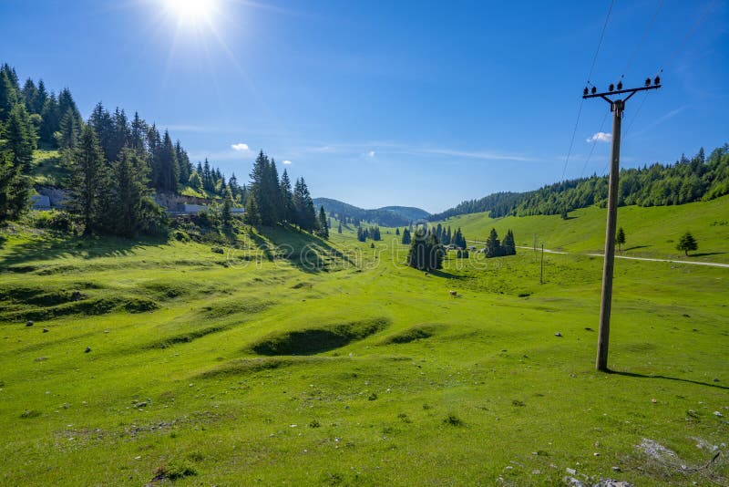 Mountain Apuseni Zona Padis Romania Stock Photo - Image of deciduous ...