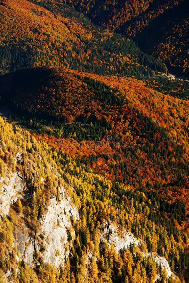 Mountain autumn landscape stock photo. Image of fall - 28814122