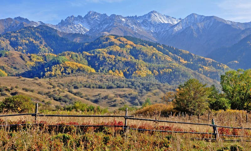 Mountain Autumn in the North Tien Shan Stock Image - Image of aspes ...