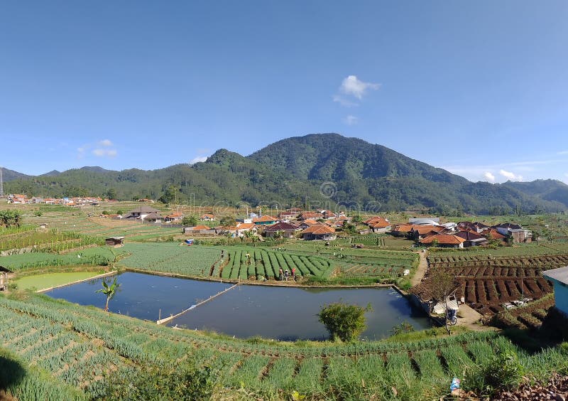 Mountain Beauty with Gardens Nice Stock Photo - Image of valley, tree ...