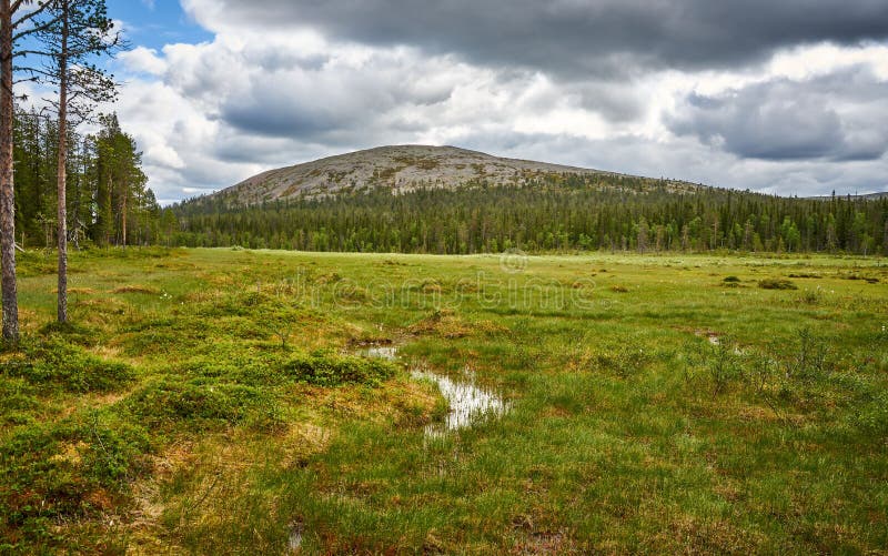 Mountain behind the swamp stock image. Image of jungle - 262617291