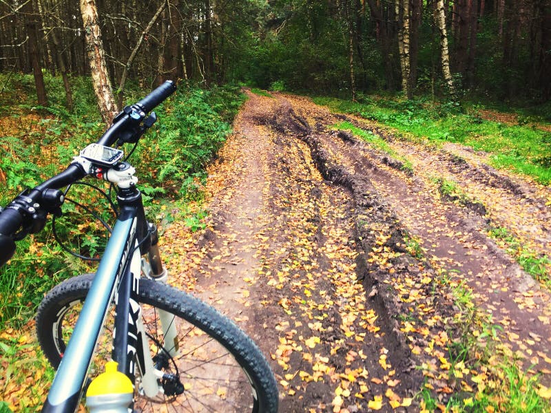 Mountain Bike on Forest Trail Stock Photo - Image of daytime, fall ...