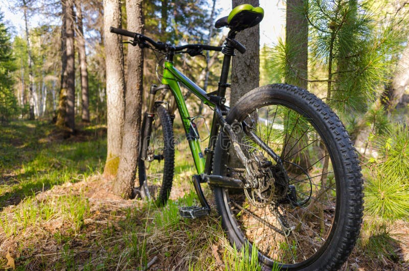 Mountain Bike Shot Outdoors Stock Photo - Image of light, soft: 72425694