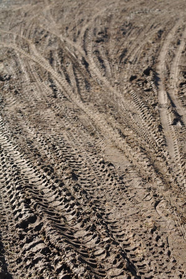 Mountain Bike Tracks stock image. Image of textures, impressions - 12800151