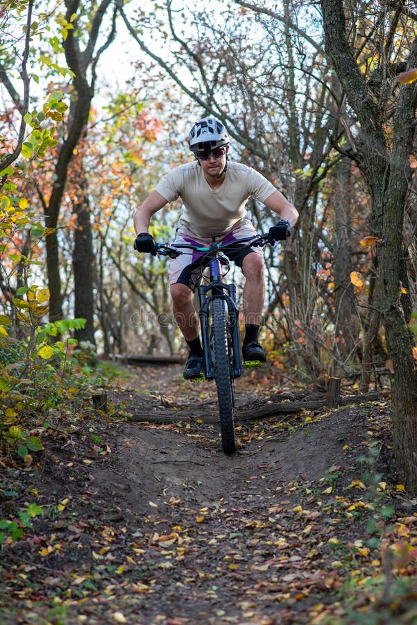 A Mountain Biker Rides a Challenging Trail through the Forest Stock ...