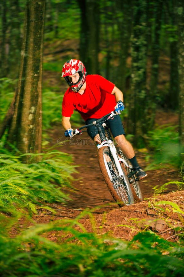 Mountain Biker Riding Down Forest Trail Stock Image - Image of forest ...