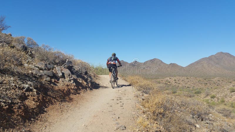 Mountain Biker Riding Uphill in the Desert Editorial Stock Photo ...