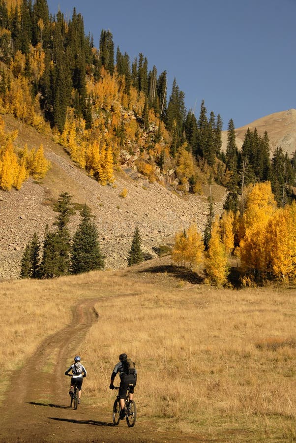 Mountain Biking with Aspen Trees Stock Image - Image of backpack, lane ...
