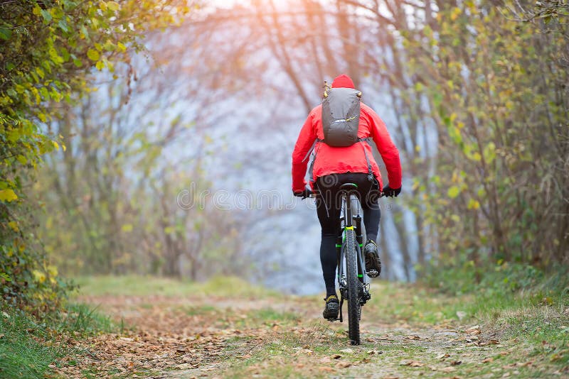 Mountain Biking in the Street in the Woods Stock Photo - Image of mont ...