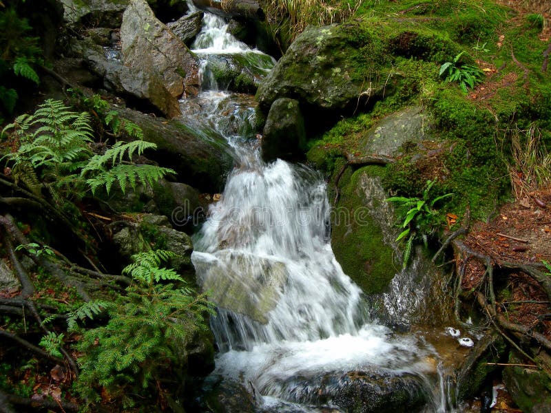 Mountain brook stock image. Image of beauty, czech, cool - 3961427