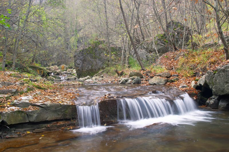 Mountain Brook Landscape Carpathian Mountains Trees Stream Stock Photo ...
