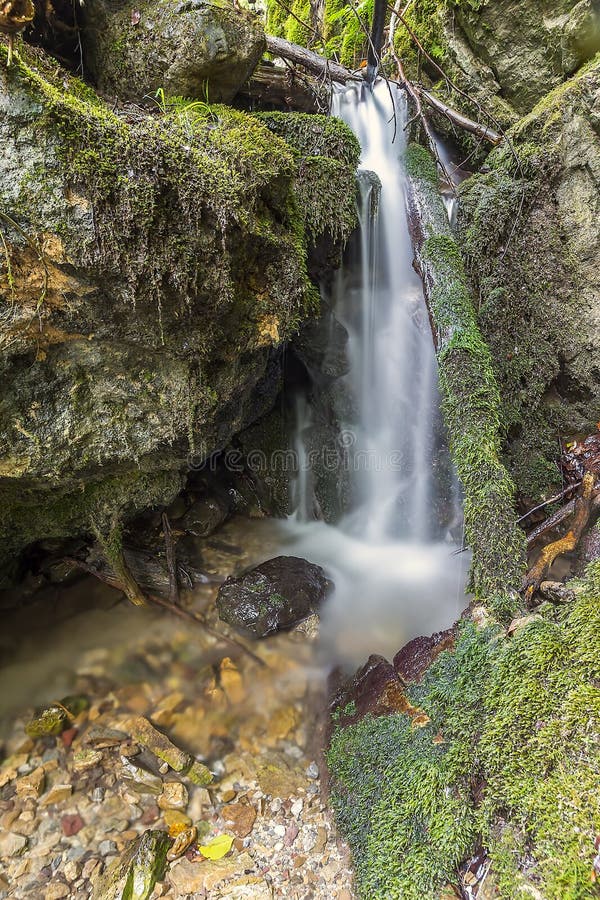Mountain-brook Flowing in the Old Tree Stock Image - Image of clean ...