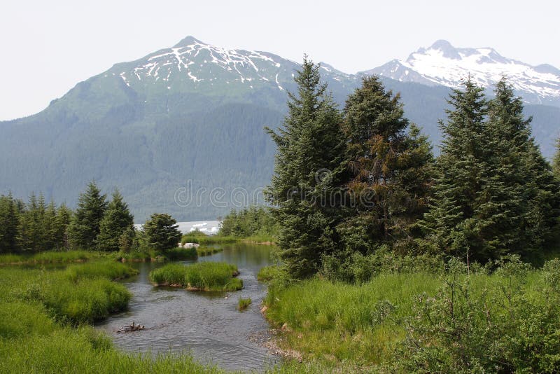 Mountain Brook with Mountains in the Background Stock Image - Image of ...