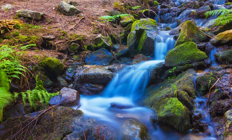 Mountain Brook Rushing Over a Stones Stock Image - Image of outdoor ...