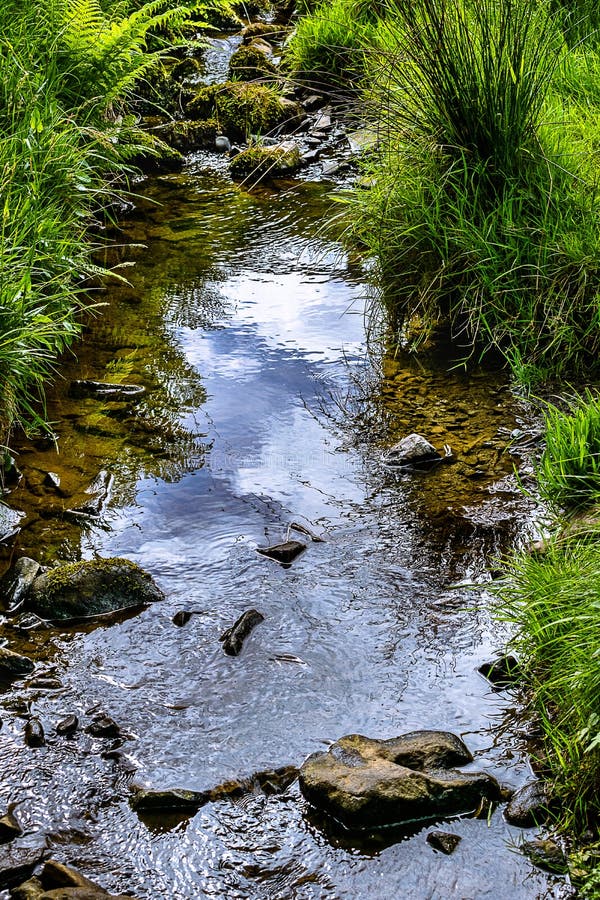 A Mountain Brook on Springtime in Close Up Stock Image - Image of ...