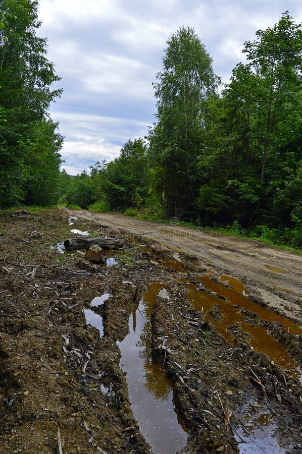 Mountain Bumpy Forest Dirty Road Stock Image - Image of people, open ...