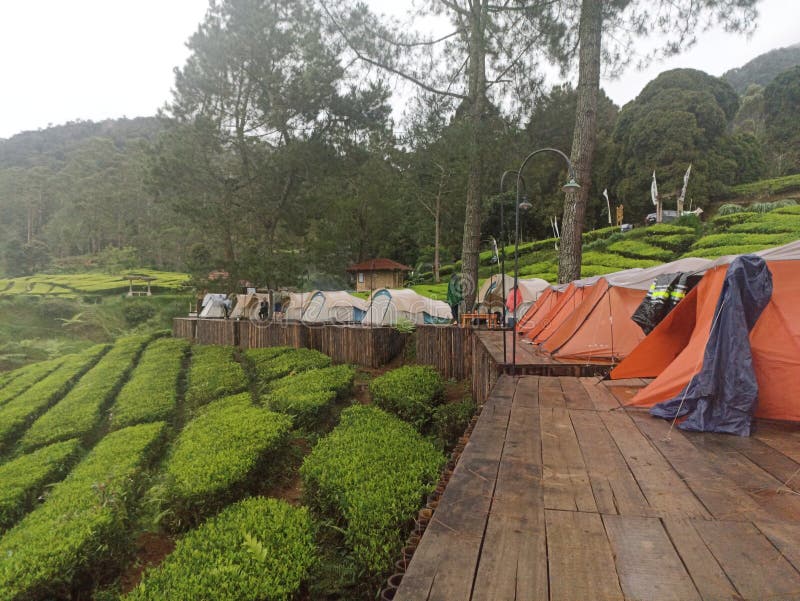 Mountain Camping Indonesian Editorial Stock Image - Image of mountain ...