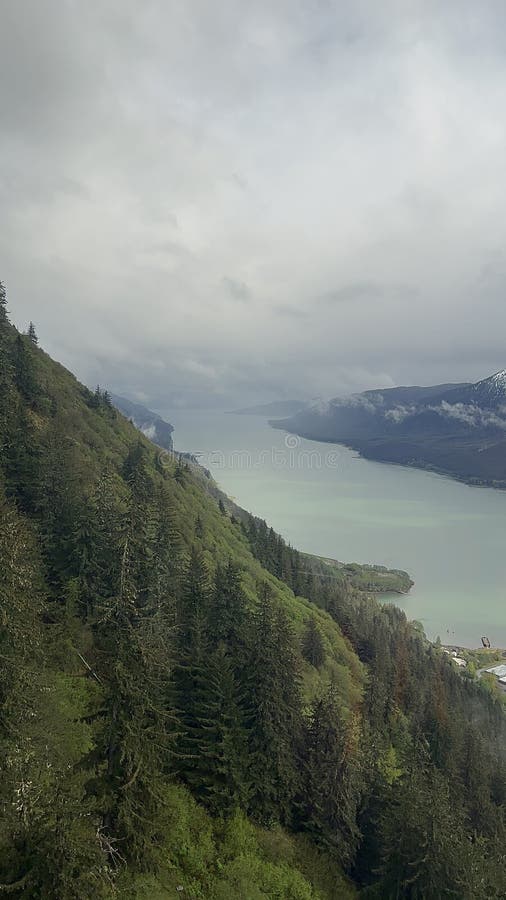 Mountain Canal with Trees and Snow Stock Image - Image of snow ...