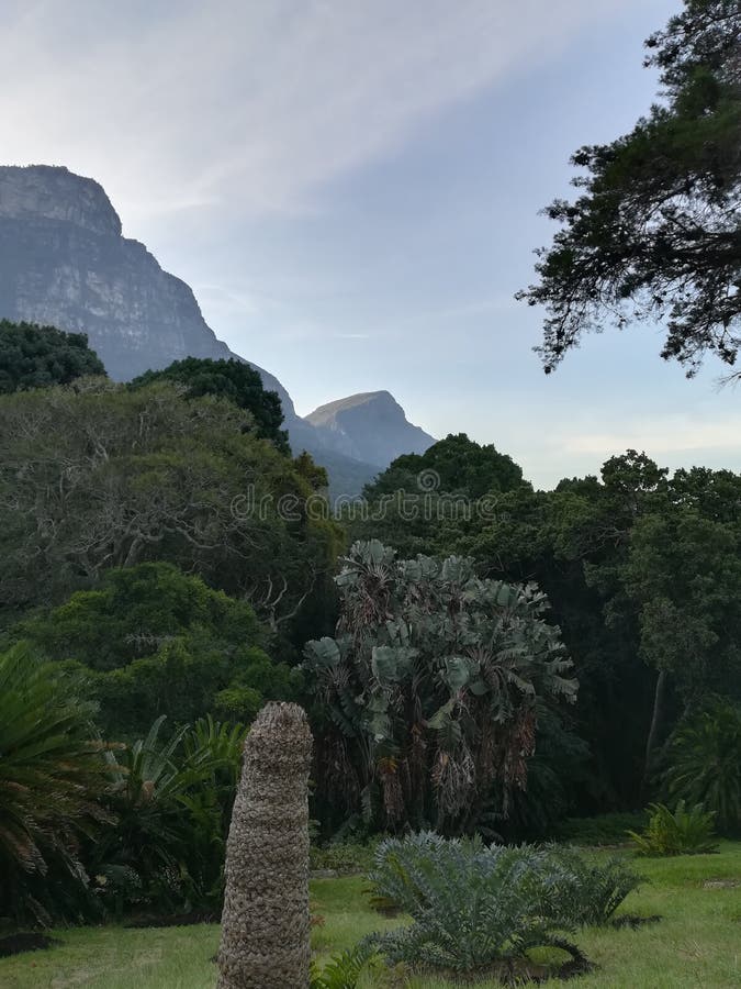 Mountain in the Cape stock image. Image of clouds, towns - 126225453