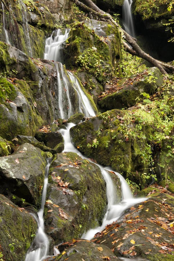 Mountain Cascade stock photo. Image of foliage, waterfall - 74984510