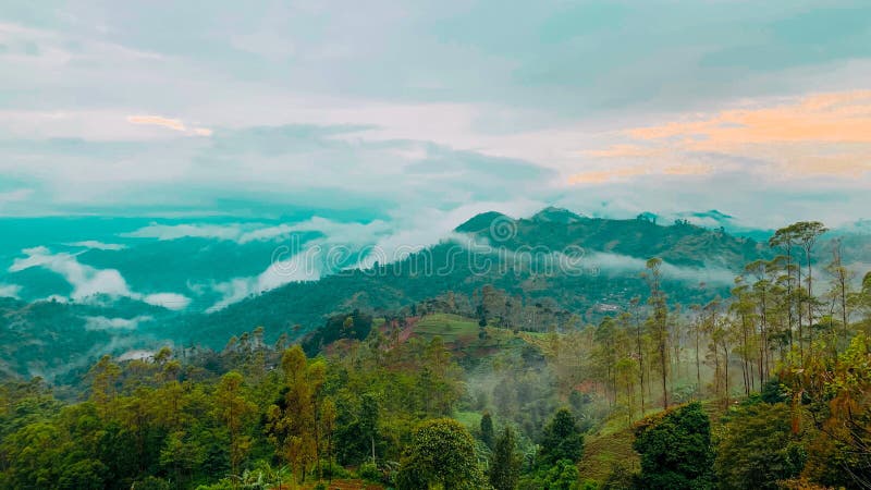 Mountain, Cikajang, Garut, West Java Stock Photo - Image of garut, tree ...