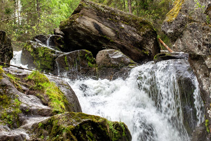 Mountain Clean River with Many Rapids Stock Photo - Image of lush ...