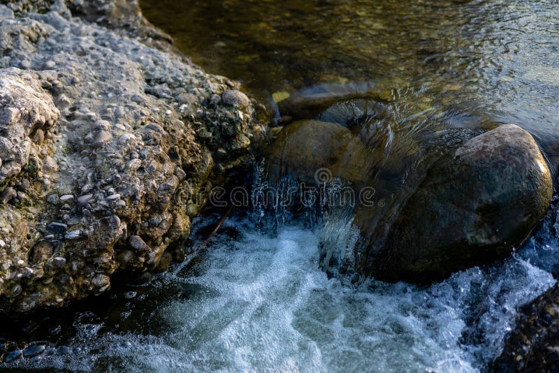 Mountain Clean River with a Rapid Flow Stock Image - Image of flow ...