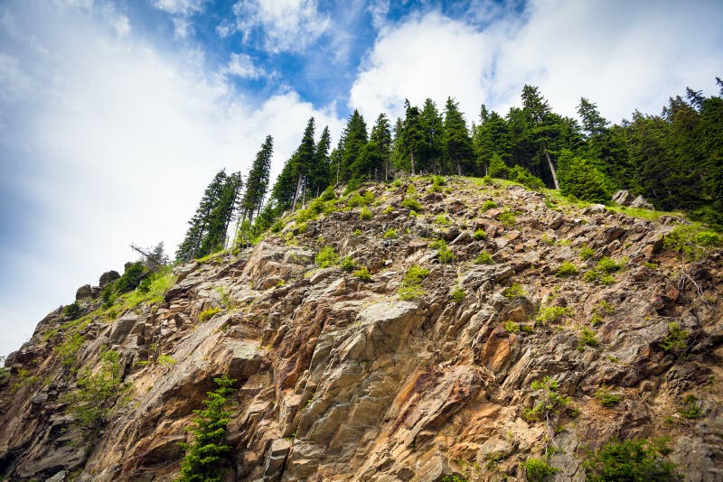 Mountain Cliff Abyss with Green Piens Stock Photo - Image of granite ...