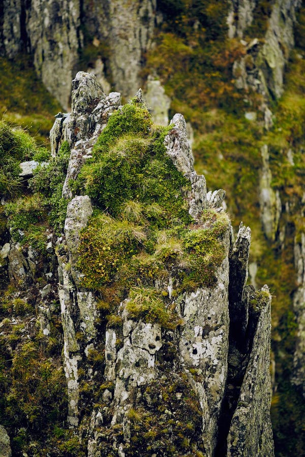 Mountain cliff closeup stock image. Image of amazing - 60092913