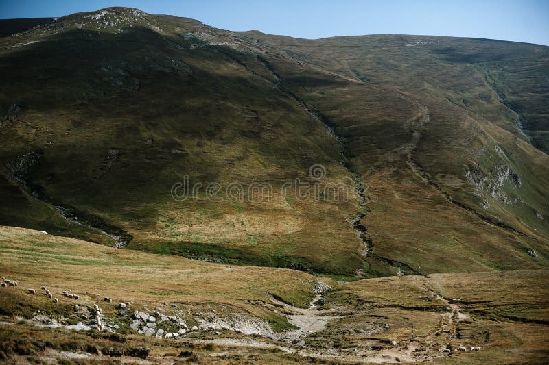 Mountain cliff stock image. Image of peaks, cliff, grass - 67055321