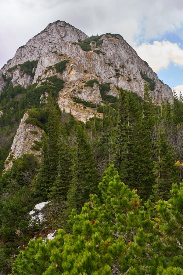 Mountain Cliffs and Forest View Stock Photo - Image of elevation, peak ...