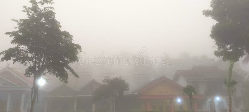 Mountain cold fog stock image. Image of tree, wind, freezing - 223134959