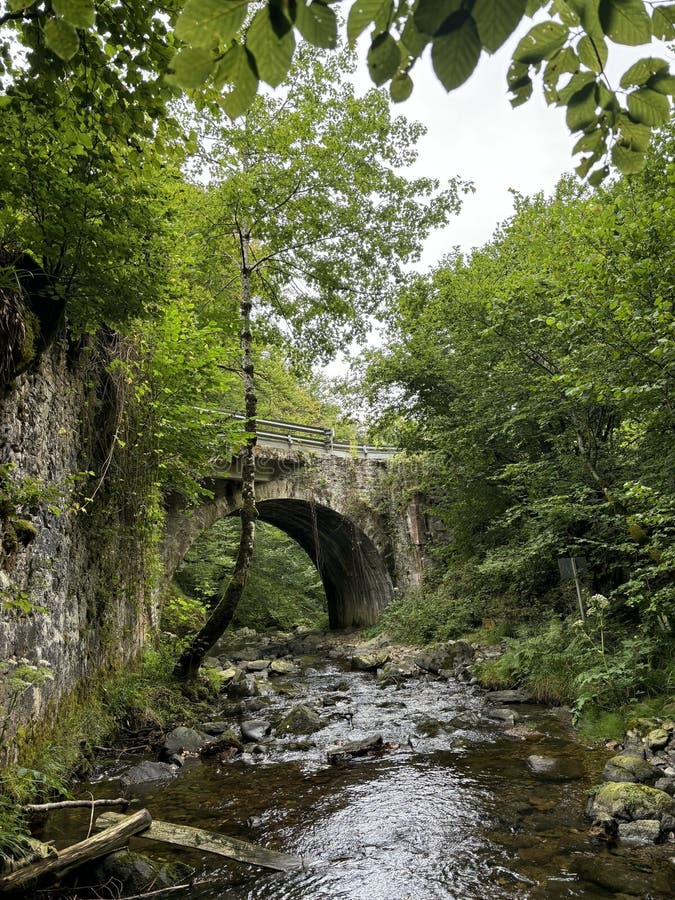 Mountain Cold Green River Bridge Stock Image - Image of mountain ...