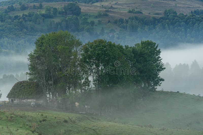 Mountain Cottage with Animals Stock Image - Image of rustic, cottage ...