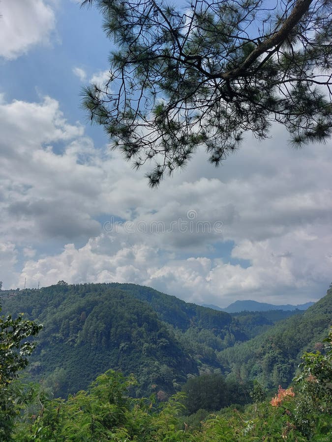 A Mountain Covered with Green Trees Which is Very Beautiful Stock Photo ...