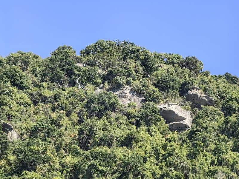 A Mountain Covered with Jungle Stock Photo - Image of tropical, clouds ...