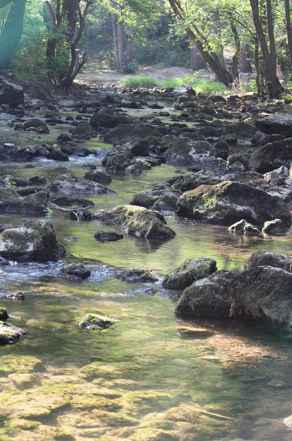 Mountain creek stock image. Image of rock, green, spring - 28442479