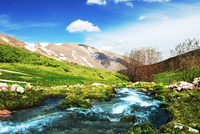 Mountain creek stock image. Image of nature, grass, spring - 5184397