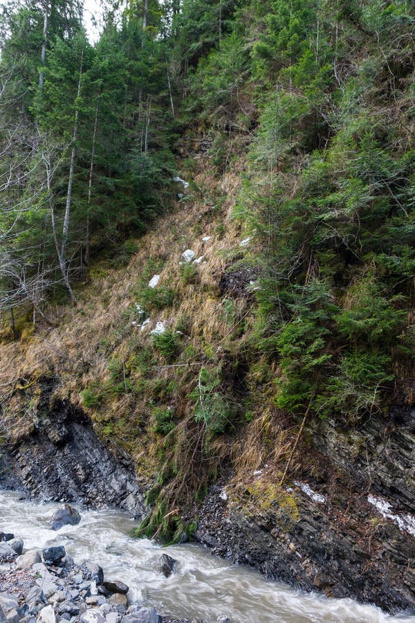Mountain Creek between Rocks Covered with Moss Stock Photo - Image of ...