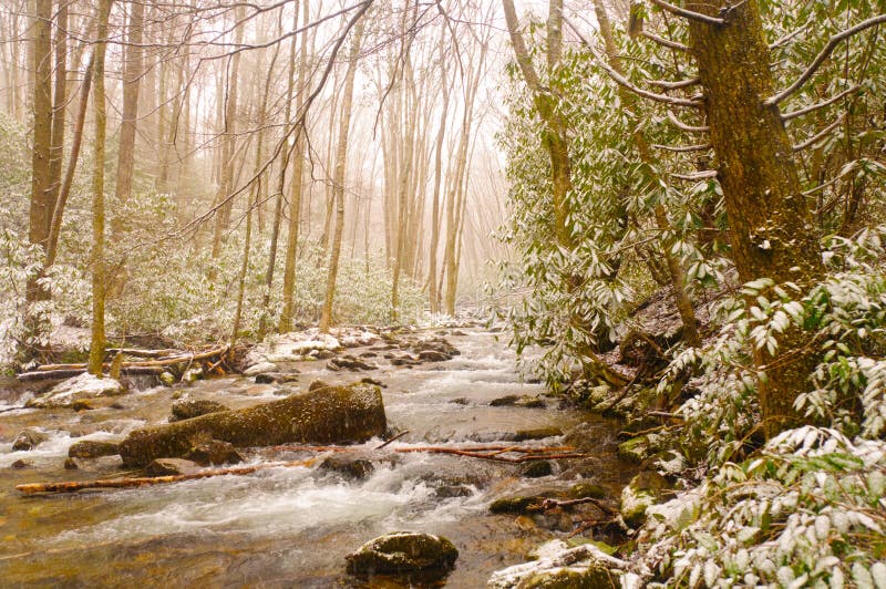 Mountain Creek during a Spring Snow Storm Stock Photo - Image of ...