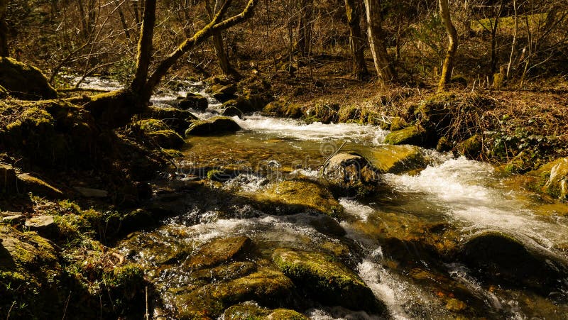 Mountain Creek during Spring Time Stock Photo - Image of stone ...