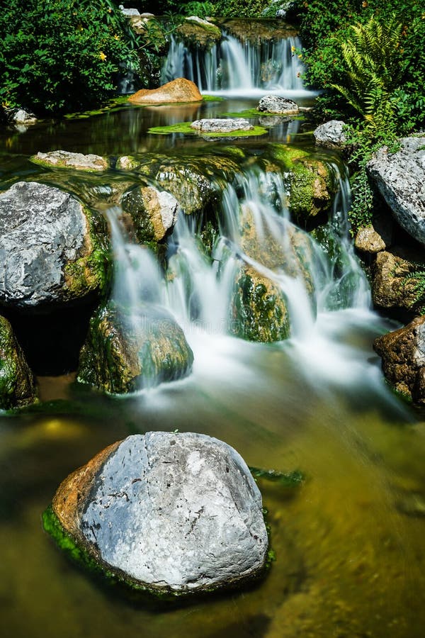 Mountain Creek with Waterfall Stock Photo - Image of stream, flowing ...