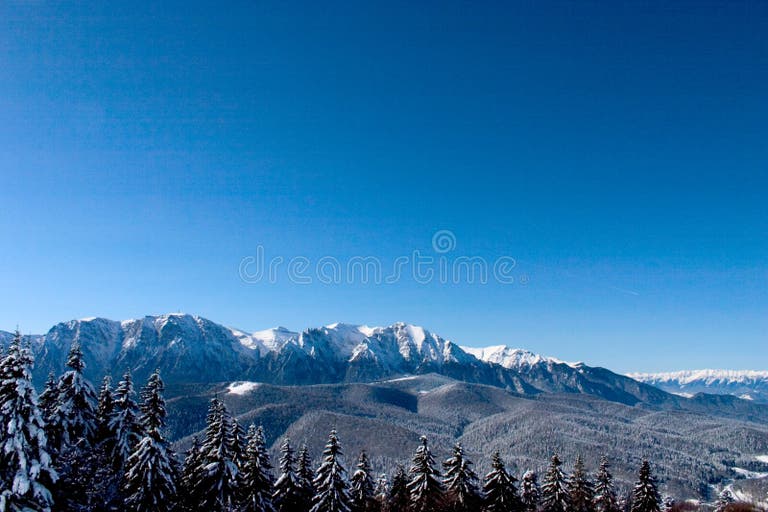 Mountain Crest stock photo. Image of mountain, pine, blue - 102964