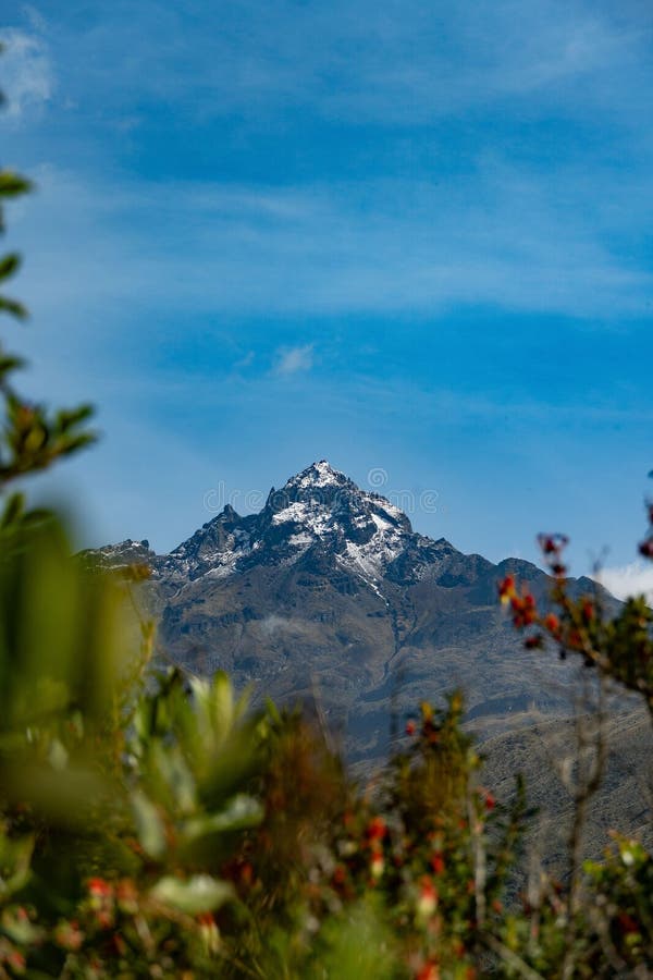 Mountain Crest Surrounded by Lush Foliage of Trees and Wildflowers ...