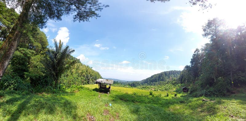Mountain of curug cipurut stock image. Image of meadow - 234792689
