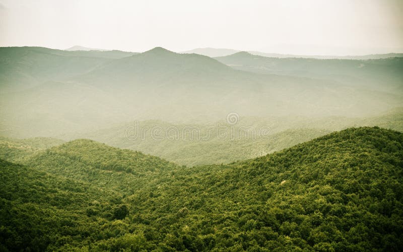 Deep Forest Moutain Summer Greece Stock Photos - Free & Royalty-Free ...