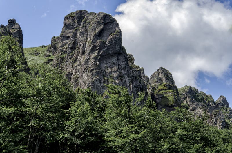 Colorful Mount Tohivea Summit Highest Mountain Moorea Tahiti Stock ...